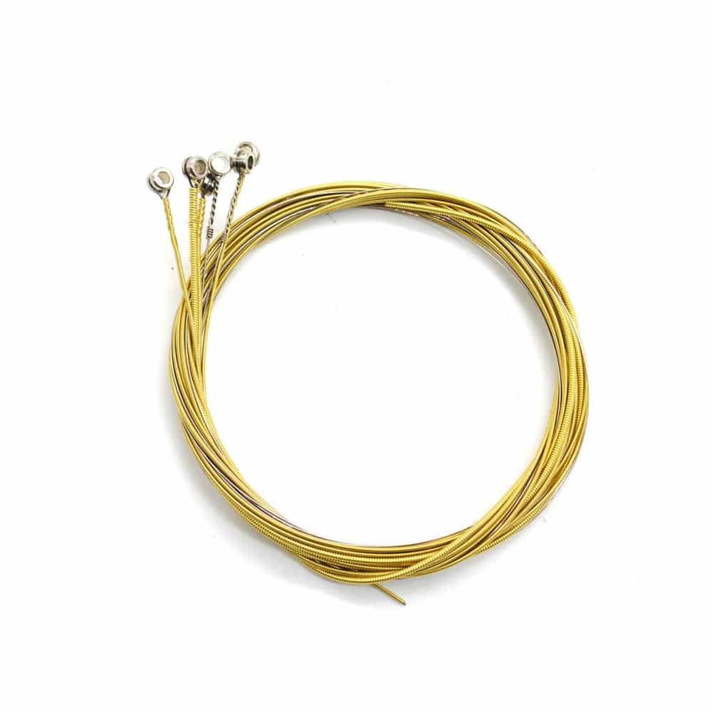 Strings | Liquid Audio